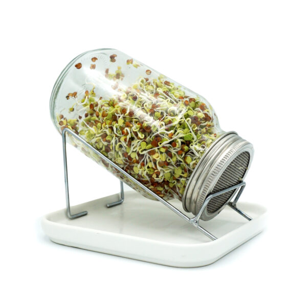 Sprouting Jar Kit - Seed Sprouter kit including one jar, stand lid and ...